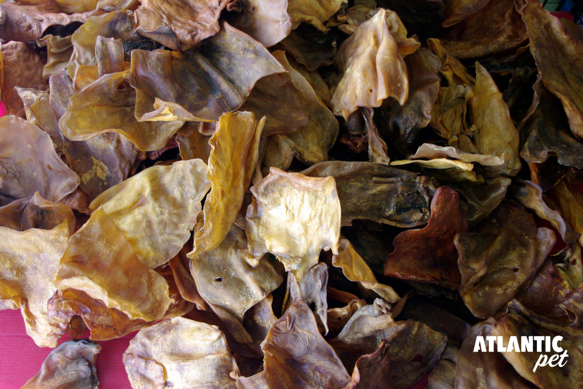 Snacks Saludables para Perros: Beneficios y Cómo Elegir los Mejores